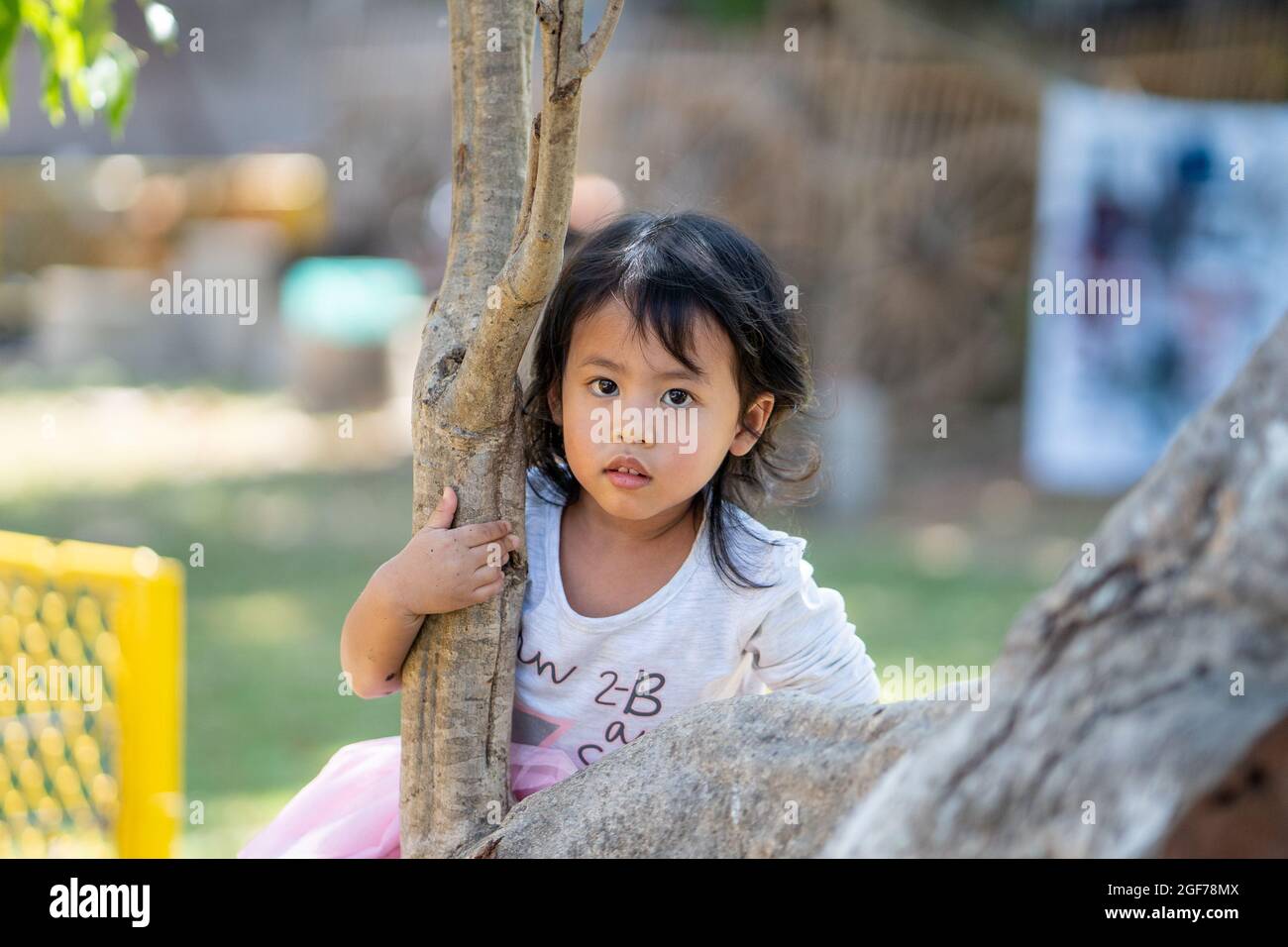 Cute little Thai girl climbing on a tree in the park Stock Photo - Alamy