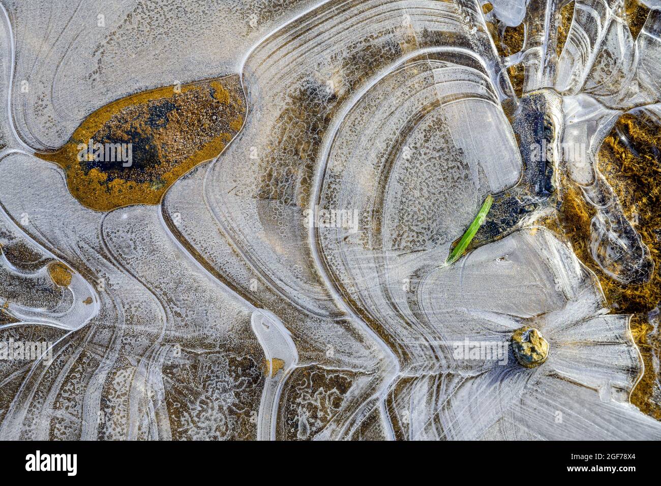 Ice structures on the ground, Kerlingarfjoell, Suourland, Iceland Stock ...