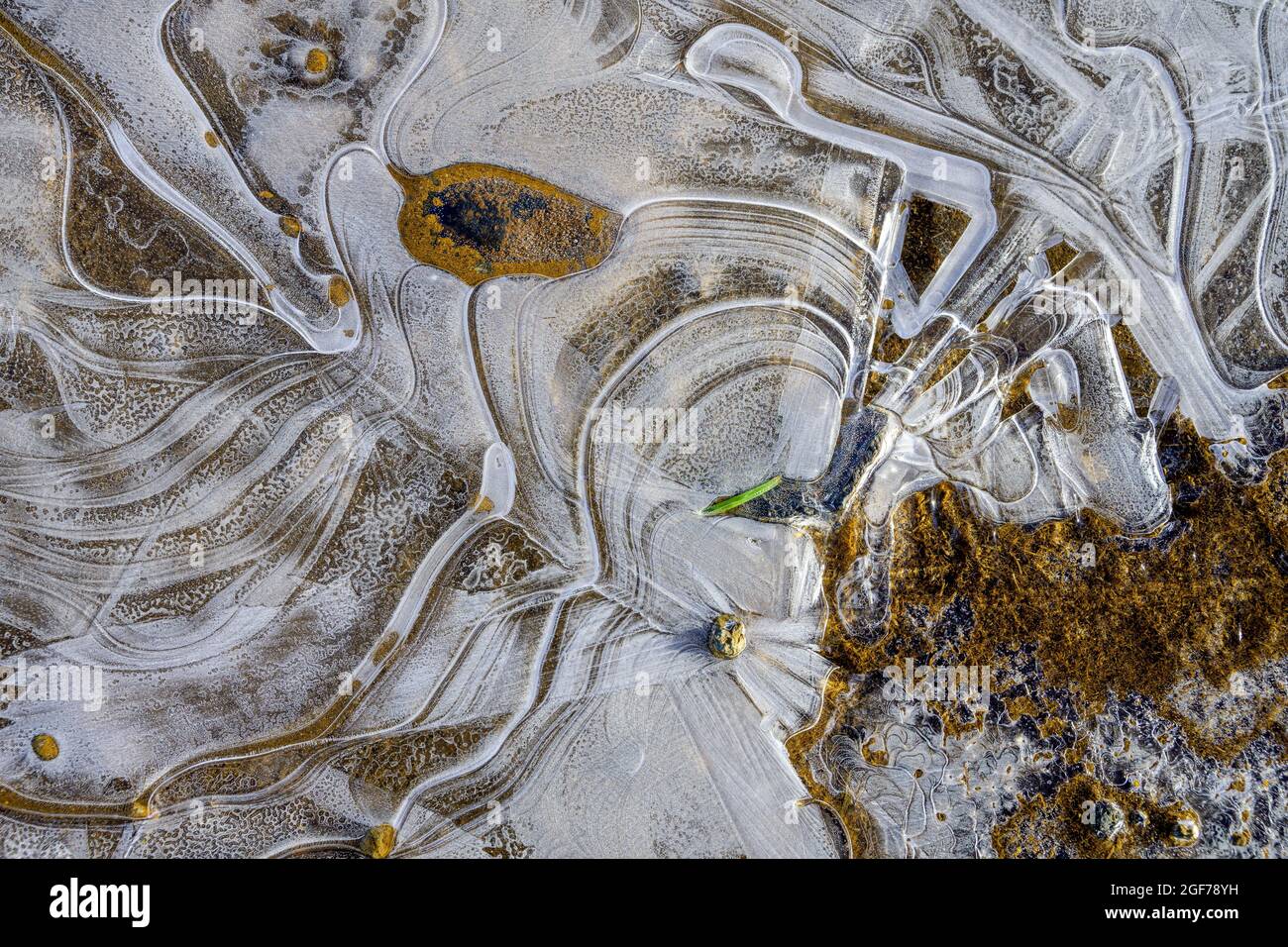Ice structures on the ground, Kerlingarfjoell, Suourland, Iceland Stock ...