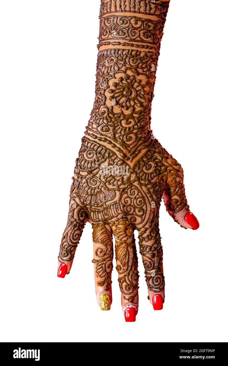 Indian Bride's hand painted with mehndi isolated on white background ...