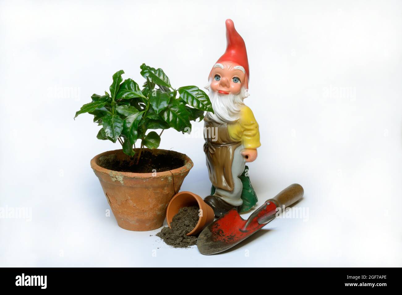 Garden gnome and clay pot with plant, Germany Stock Photo - Alamy