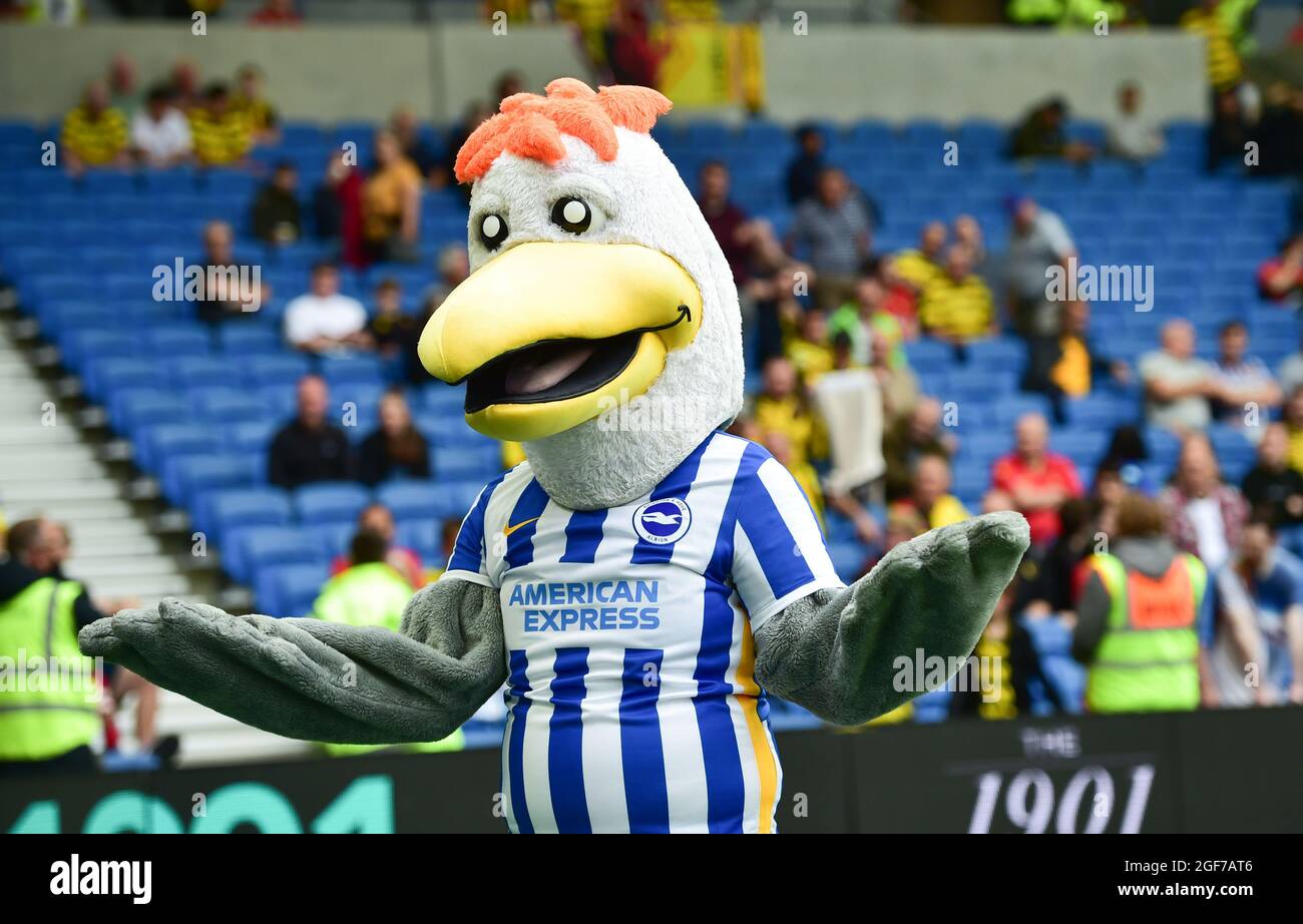 Gully the mascot hi-res stock photography and images - Alamy