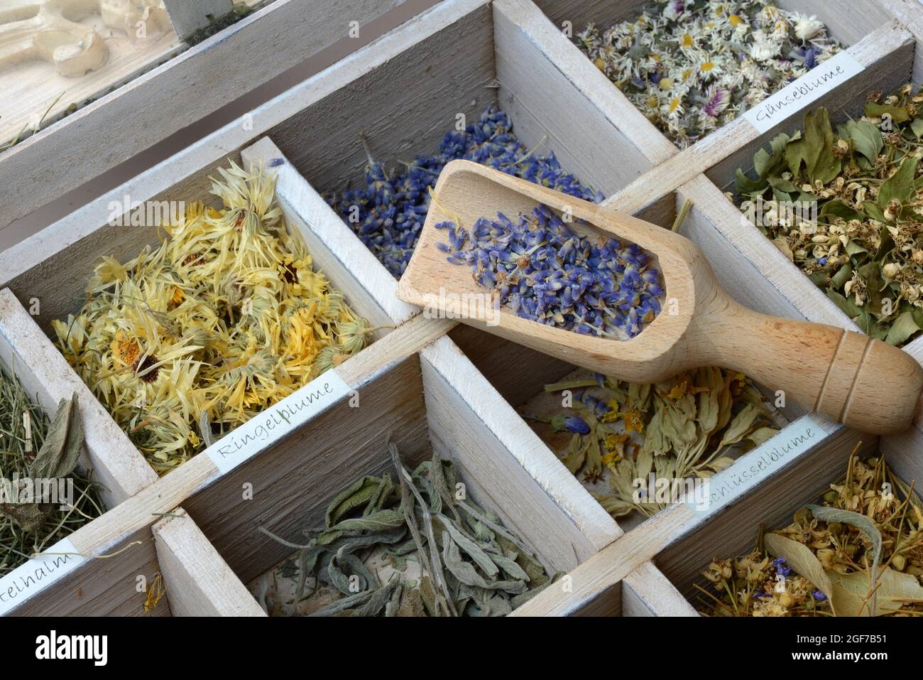 Various dried plants in wooden box with wooden shovel, make your own ...