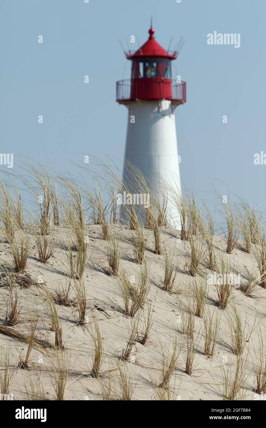 Marram grass silhouette hi-res stock photography and images - Alamy