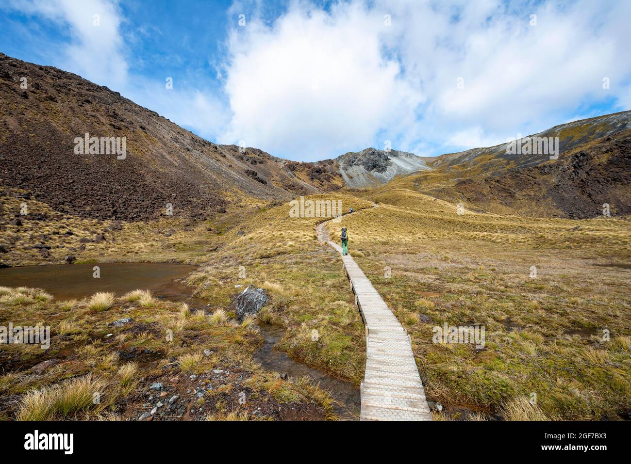 Hikers on trail, Kepler Track, Great Walk, Mount Luxmore behind ...