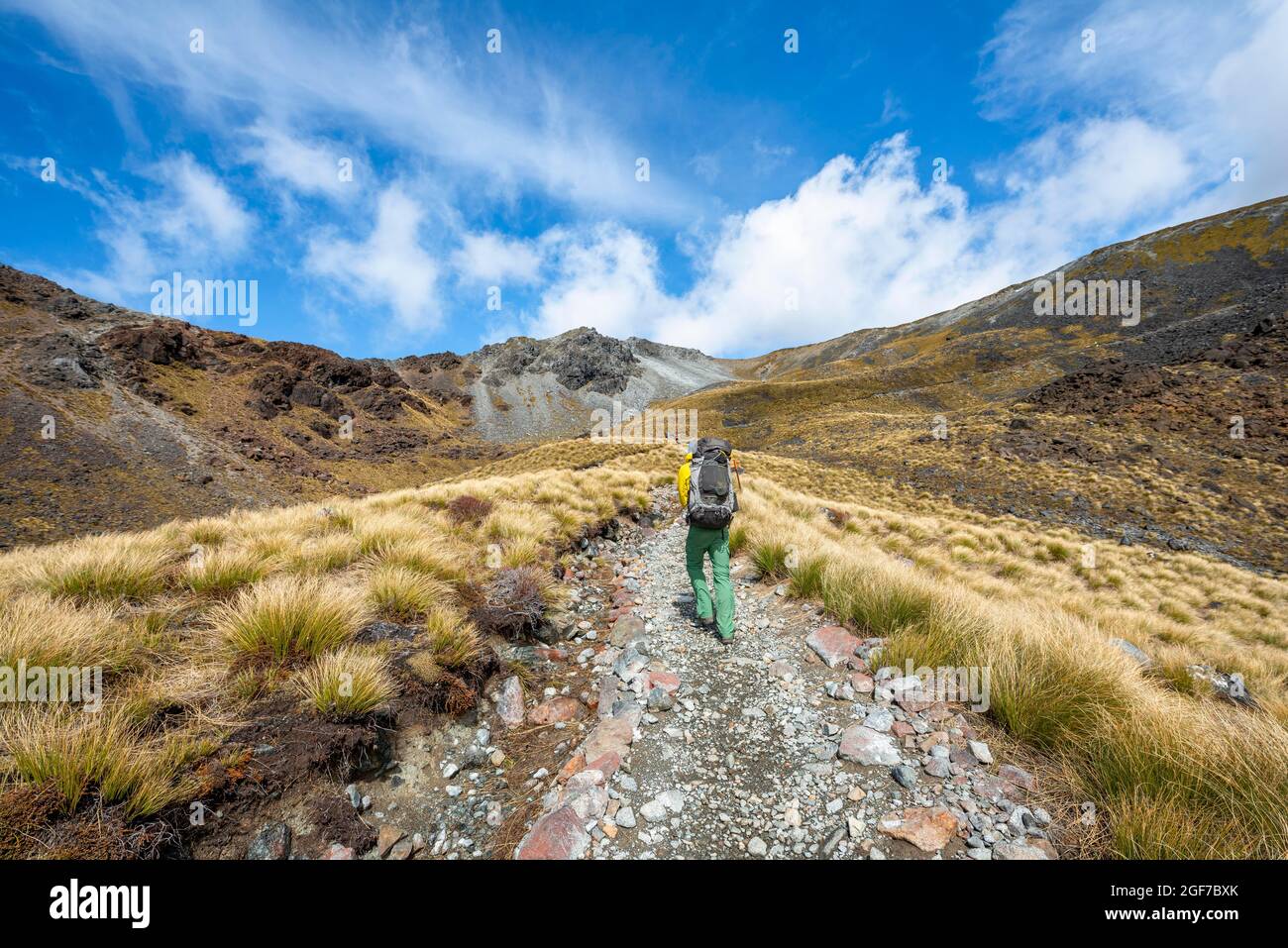 Hikers on trail, Kepler Track, Great Walk, Mount Luxmore behind ...