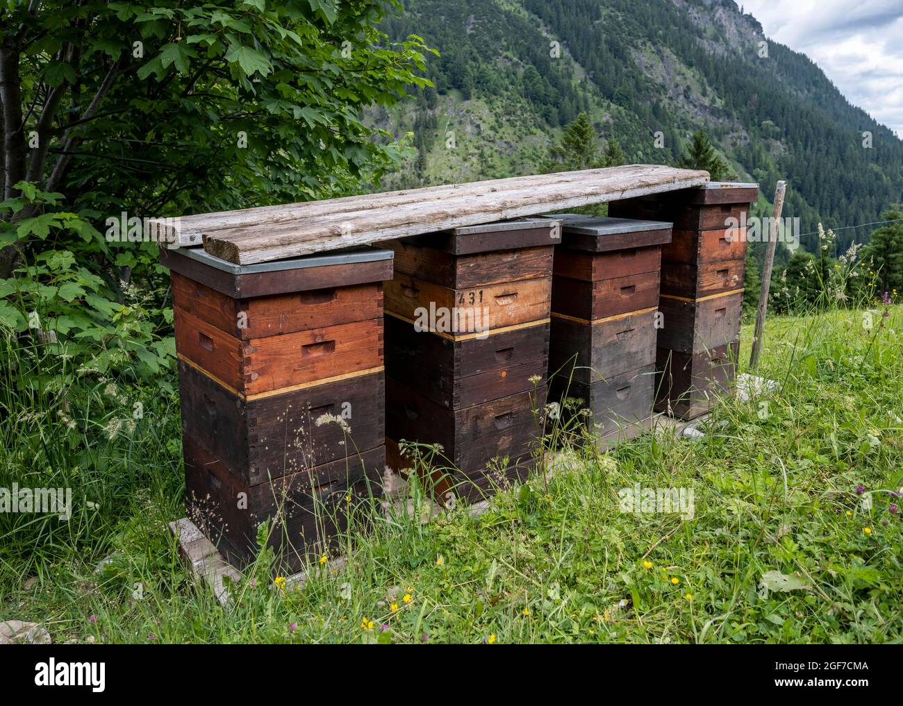 Beehive for honey bees, Bavaria, Germany Stock Photo - Alamy