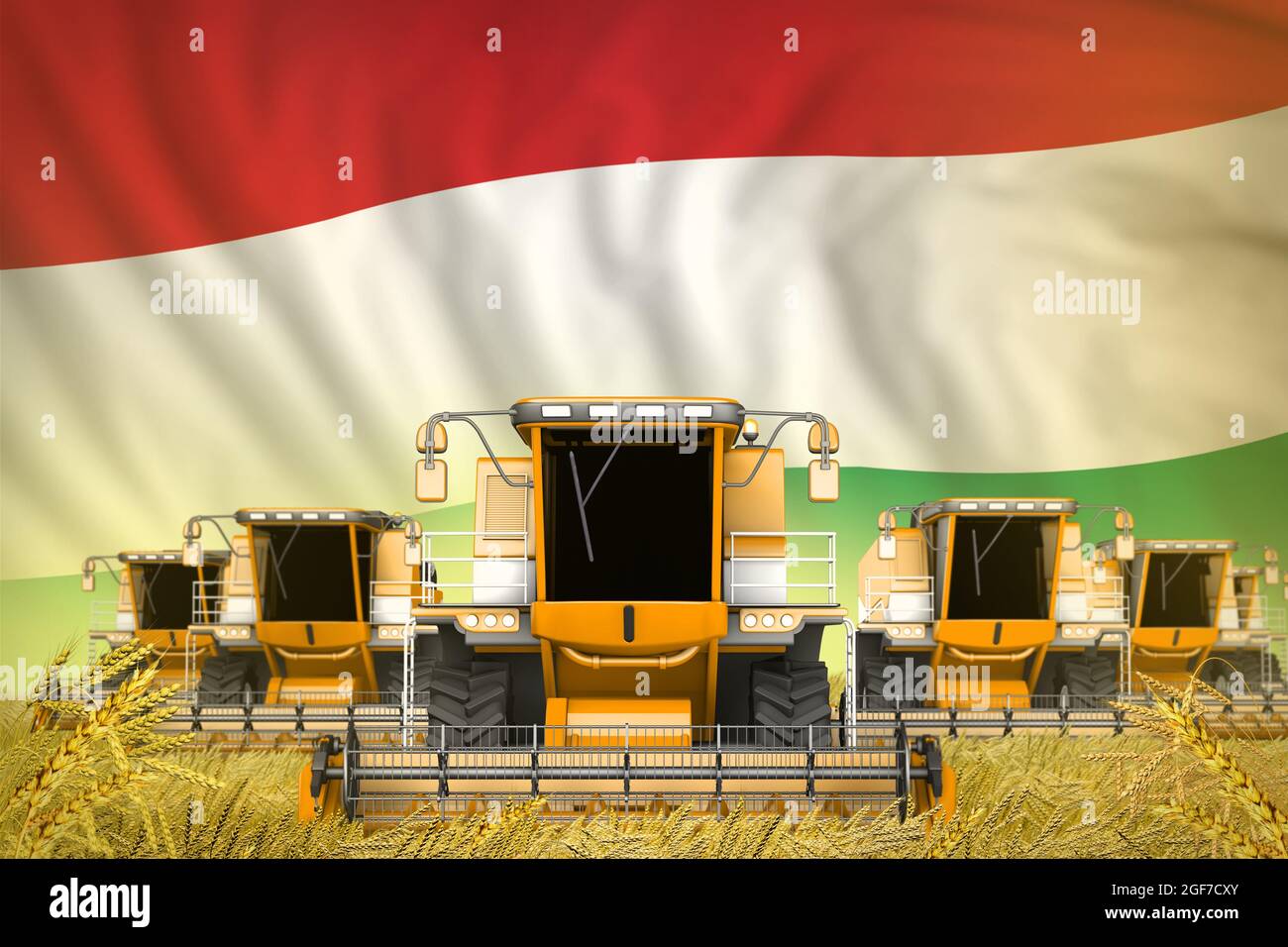 many yellow farming combine harvesters on wheat field with Hungary flag ...