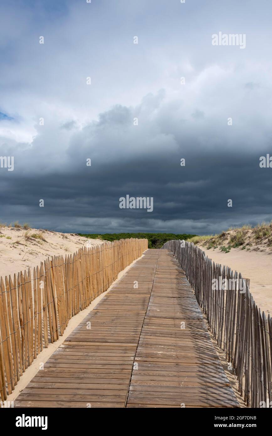 Access to the beach, dune landscape, dark rain clouds above, Carcans ...