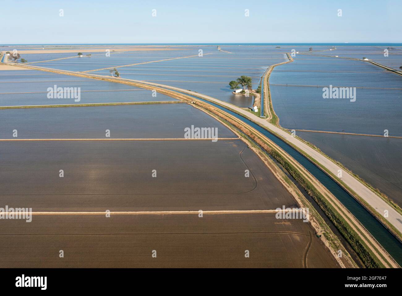 Flooded rice fields in May, aerial view, drone shot, Ebro Delta Nature ...