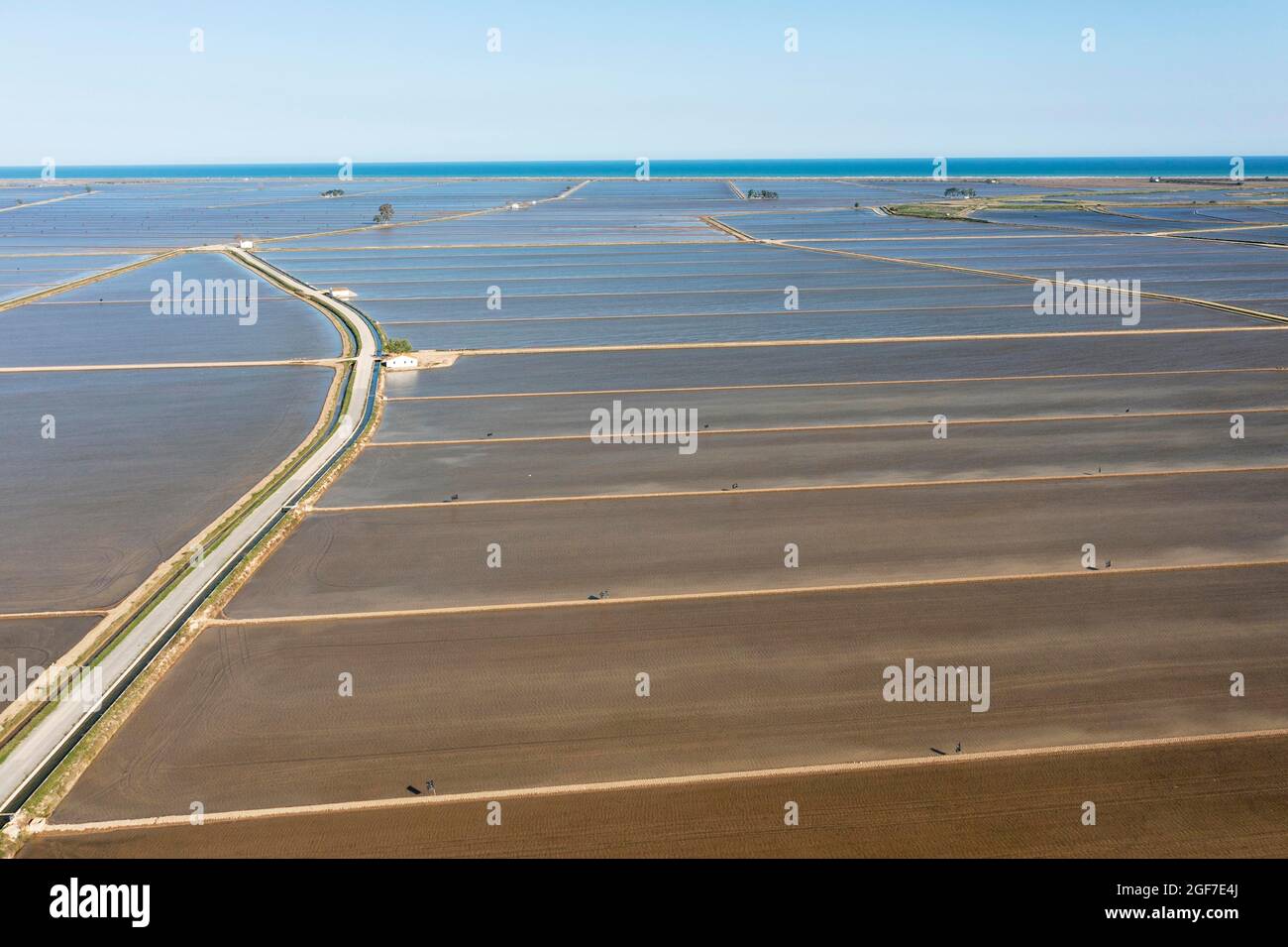 Flooded rice fields in May, aerial view, drone shot, Ebro Delta Nature ...