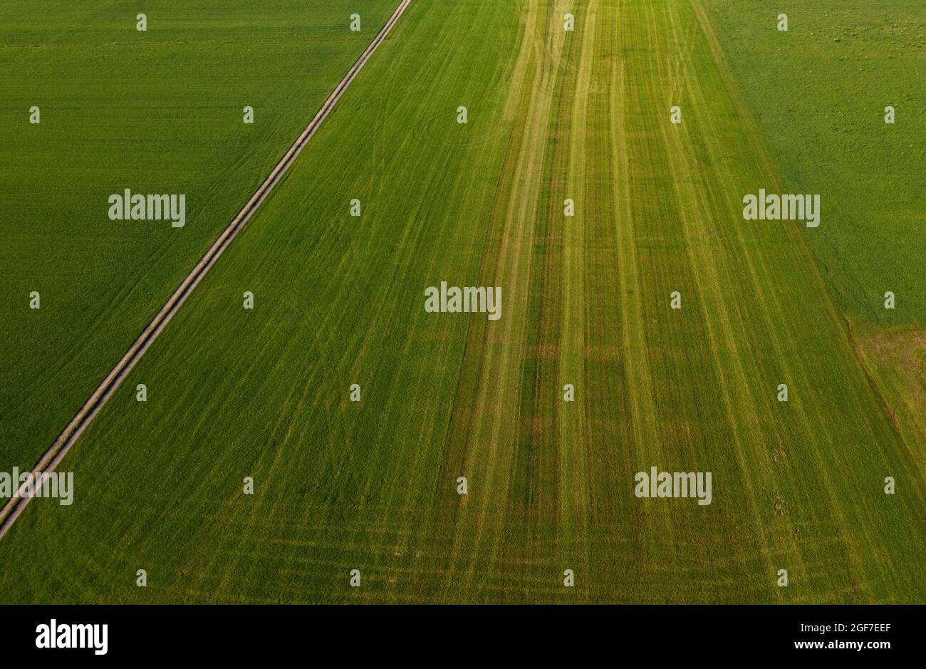 Drone shot, field path leads through mown meadow, agricultural ...
