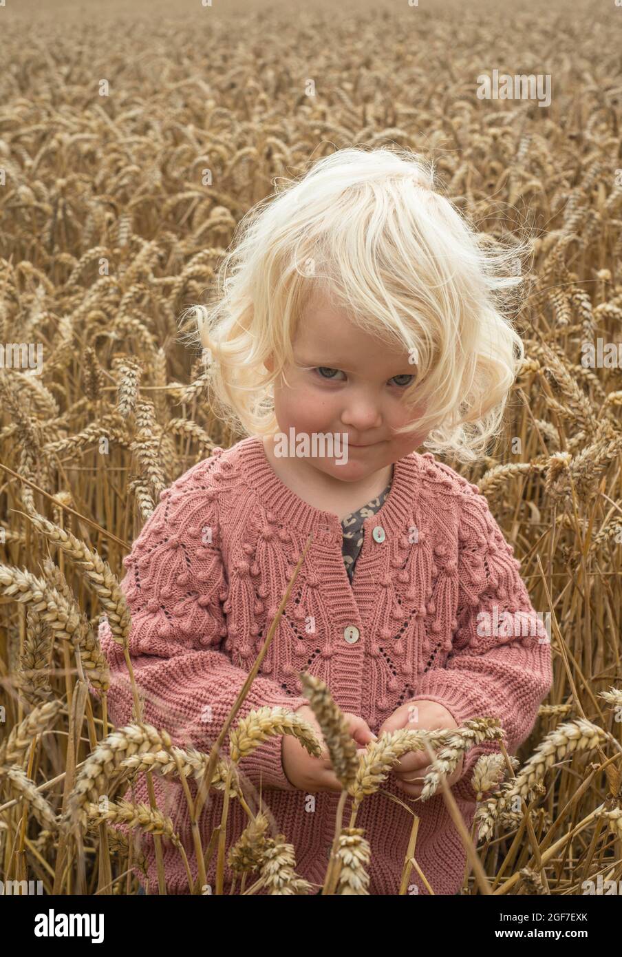 Girl age 3 hi-res stock photography and images - Alamy