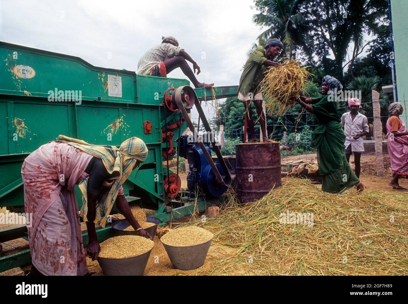 Threshing rice, paddy with machine, Tamil Nadu, India Stock Photo - Alamy