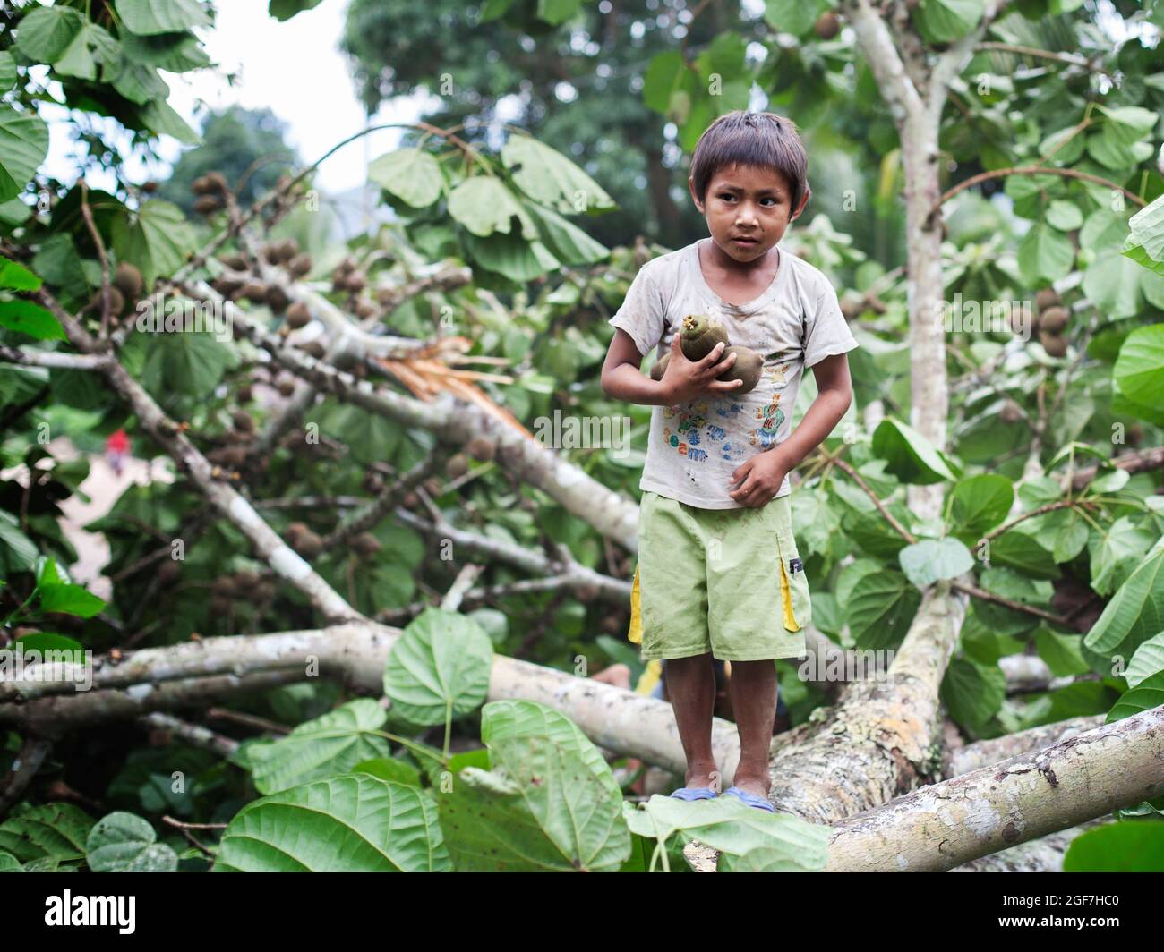 Boy Amazon Rainforest Pictures Protecting The Amazon Rainforest