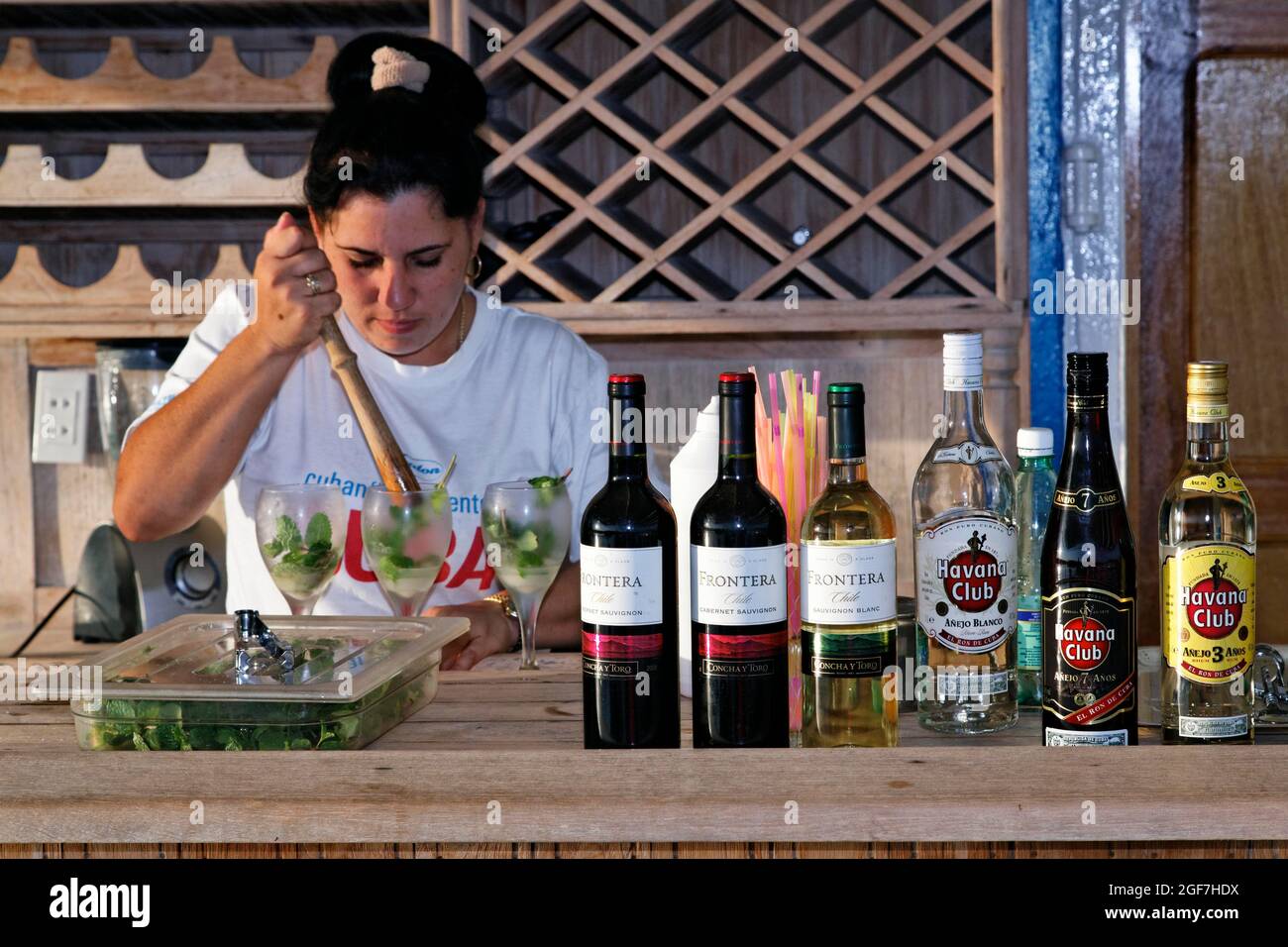 Woman, Cuban, crushing mint in glass for mojito cocktail, bottles of ...