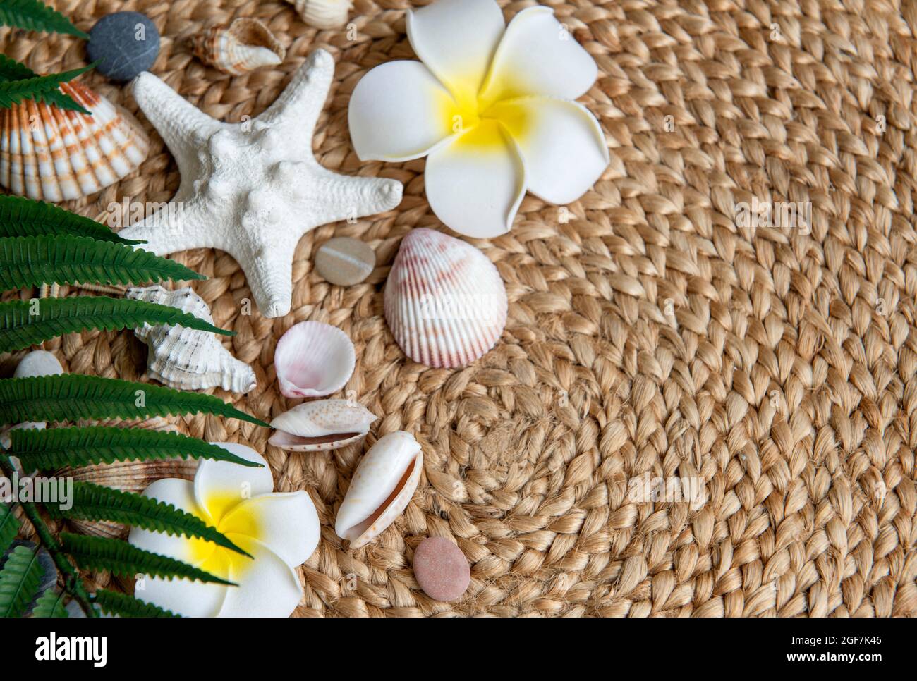 Summer vacation concept. White frangipani flower, seashells and ...