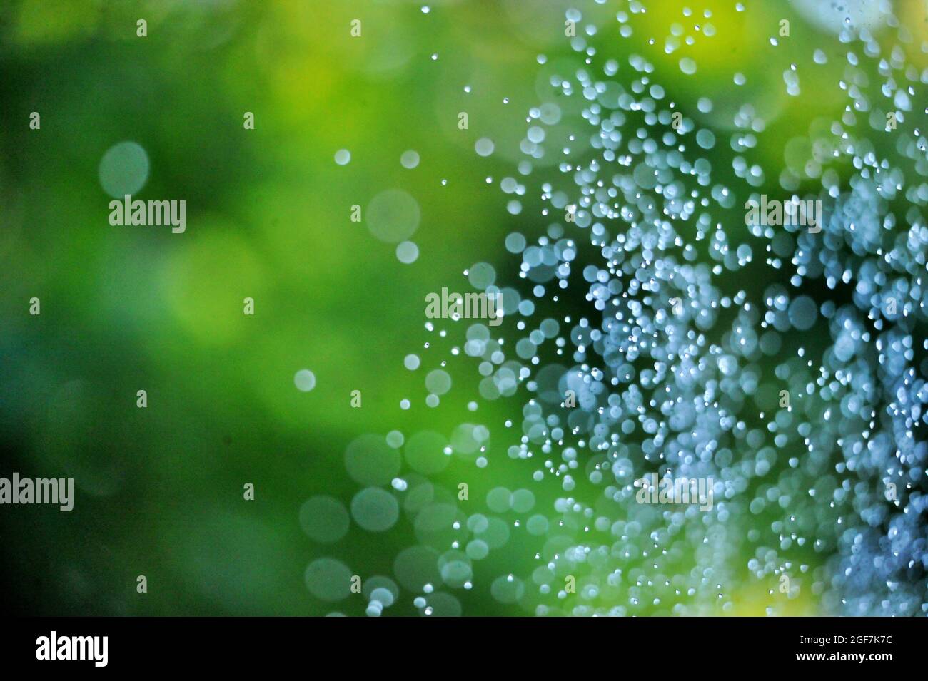 Water drops flying in one direction, waterdrops levitating on blur ...