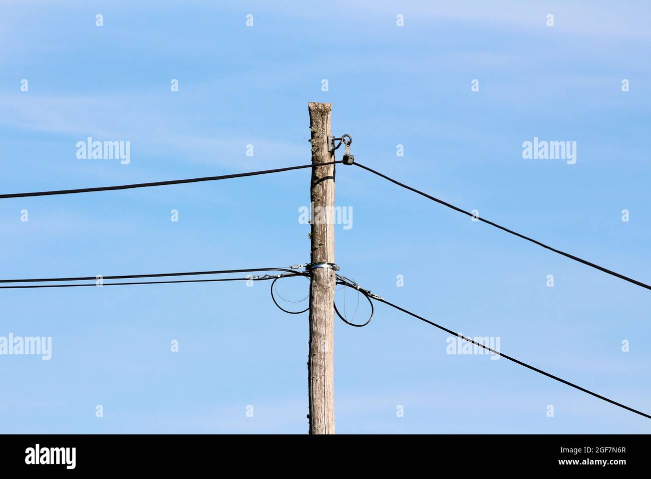 Cracked old vintage wooden utility pole with thin black electrical ...