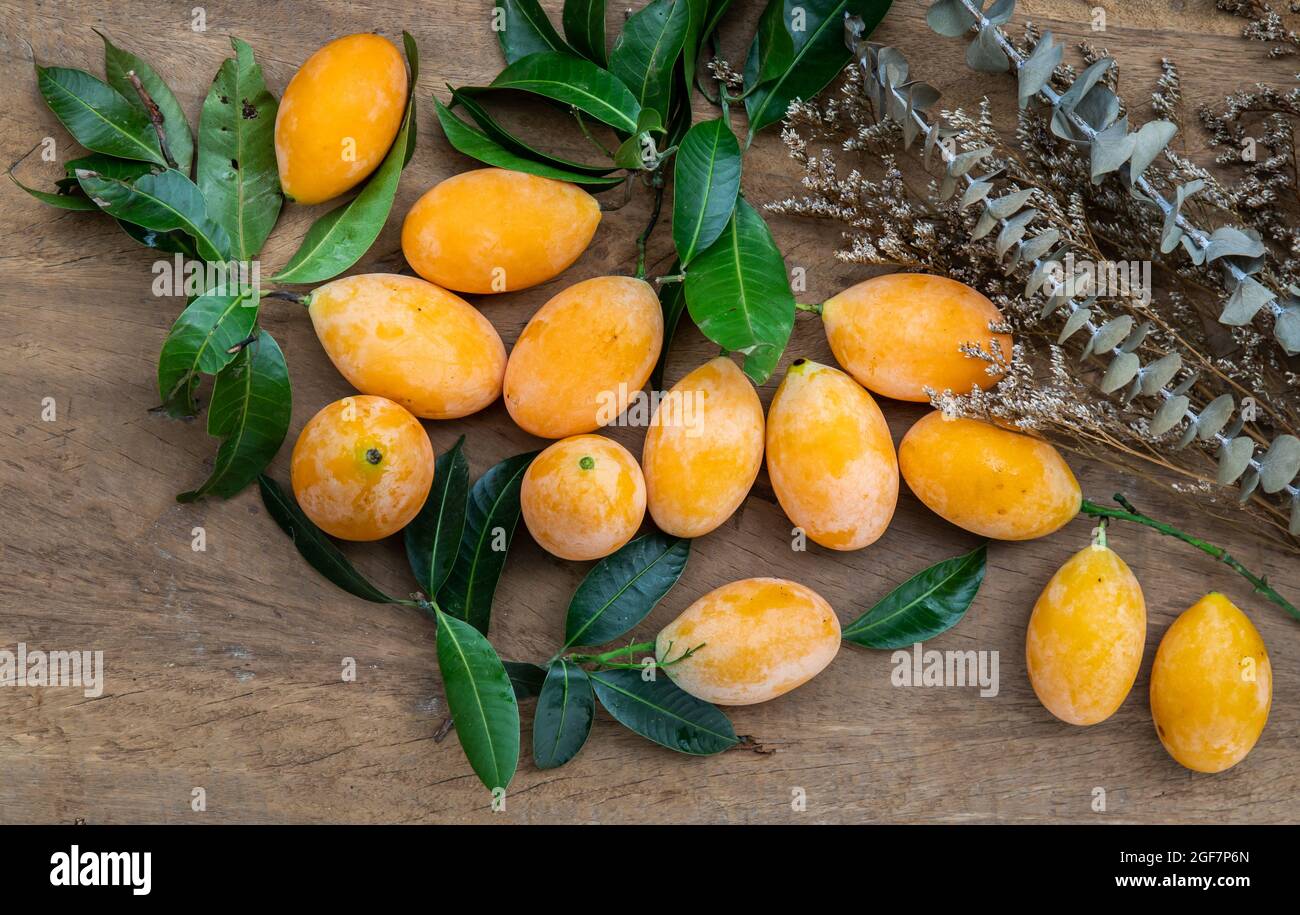 Mayong chit hi-res stock photography and images - Alamy