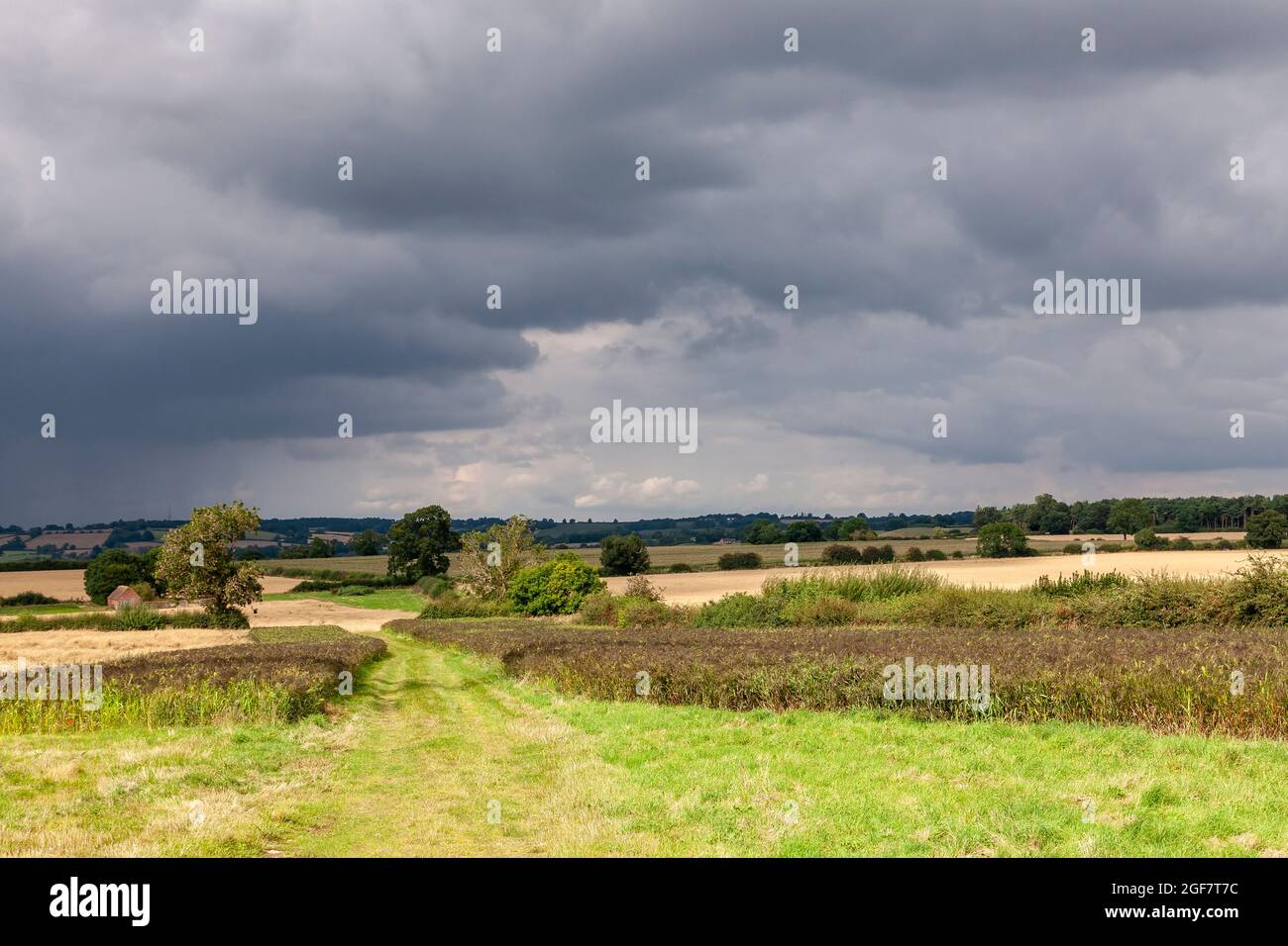 View looking North from the Duston-Whilton old roman road just before ...