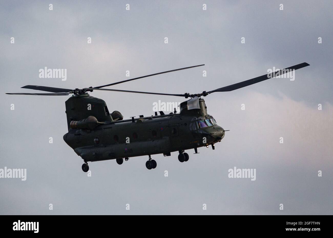 RAF Chinook tandem-rotor CH-47 helicopter flying fast and low in a ...