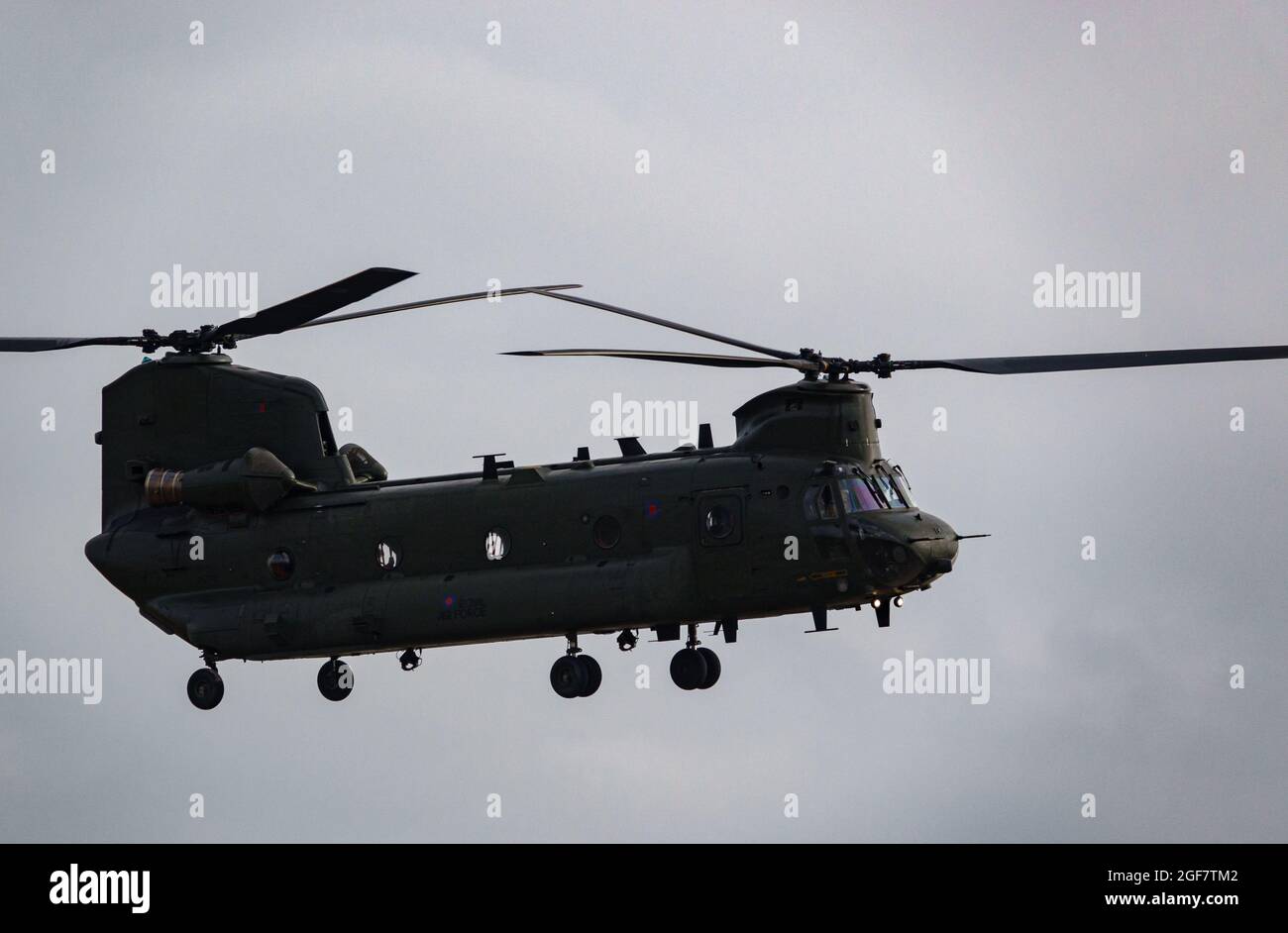 RAF Chinook tandem-rotor CH-47 helicopter flying fast and low in a ...