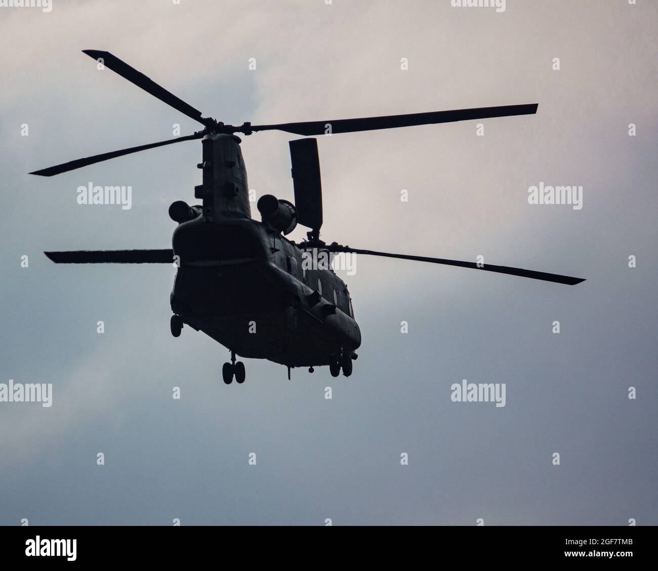 RAF Chinook tandem-rotor CH-47 helicopter flying fast and low in a ...