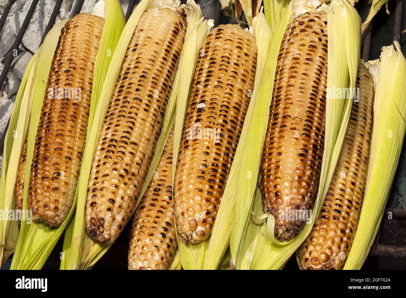 Organic Grilled Corn in Guatemala, Street vending of roasted corn ...