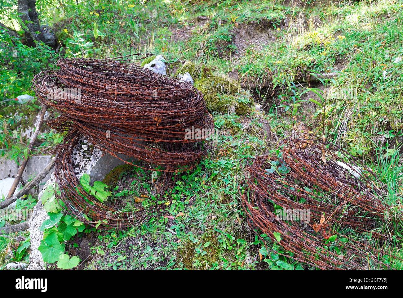 Slovenia. Mount Mrzli, remains of WWI barbed wire Stock Photo - Alamy