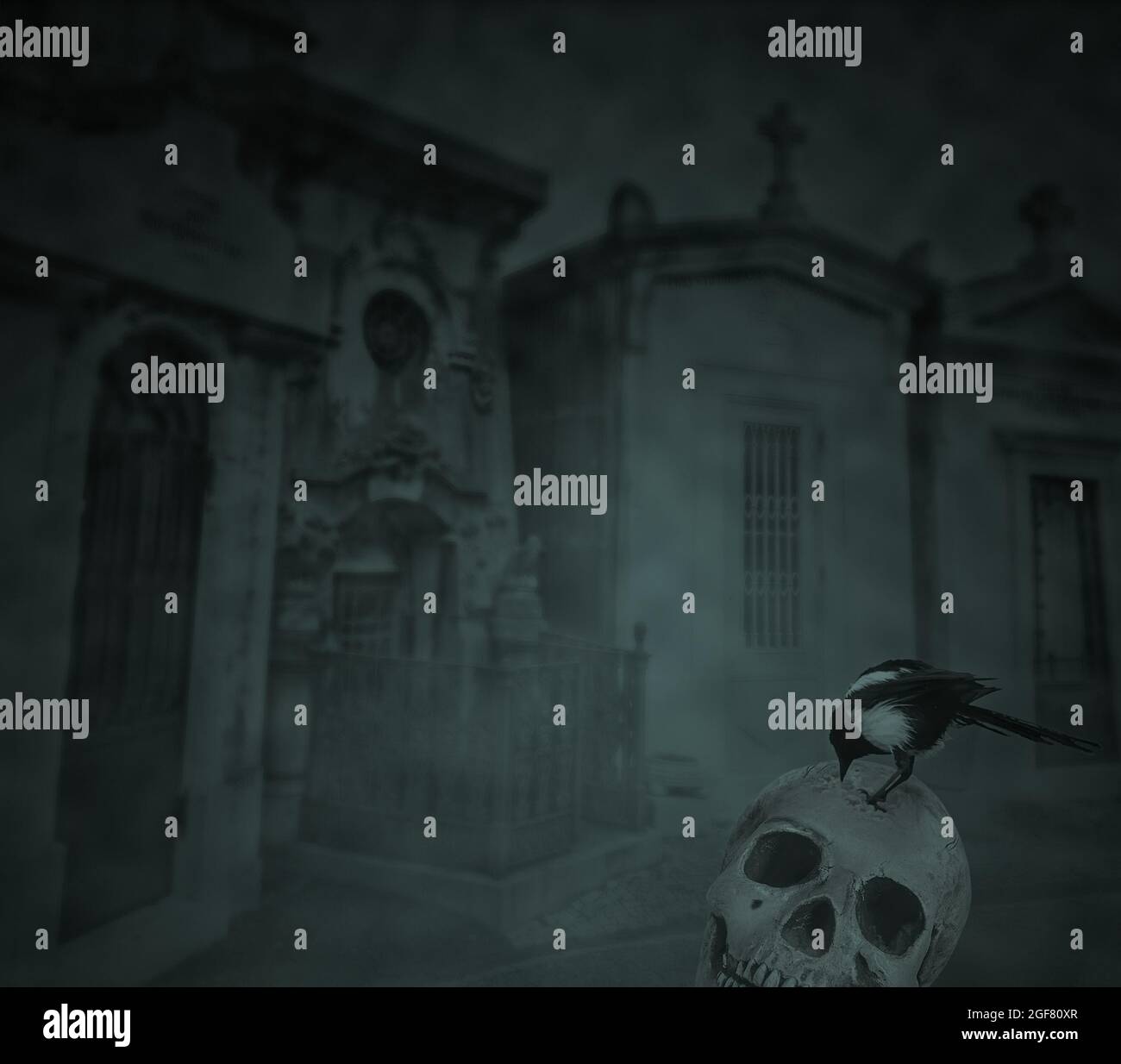 Crow on top of a human skull eating flesh remains against a cemetery ...