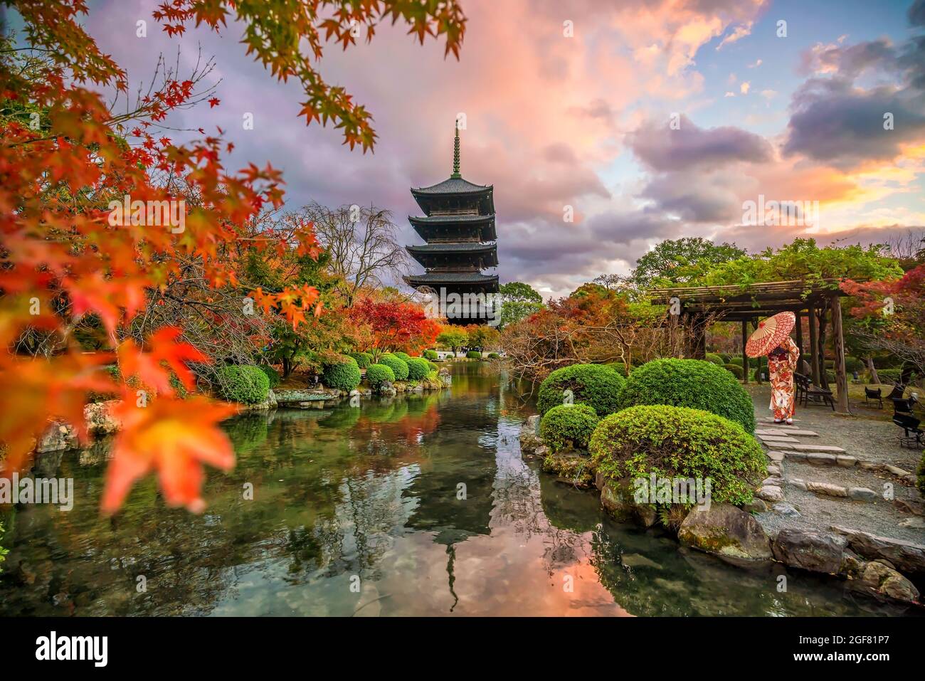 Toji temple and wood pagoda in autumn Kyoto, Japan sunset Stock Photo ...