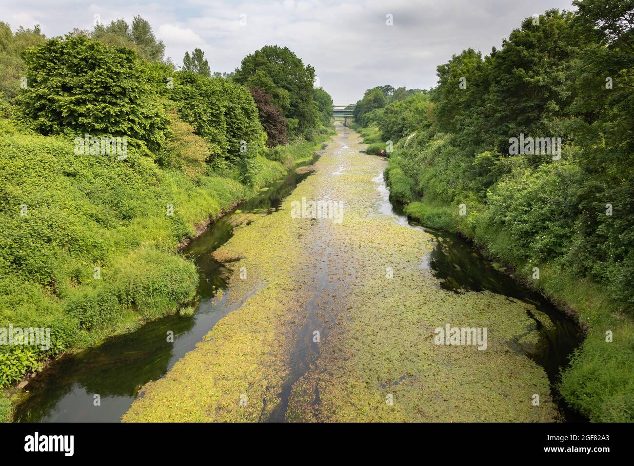 Renaturalized Emscher river in Dortmund, Germany Stock Photo - Alamy