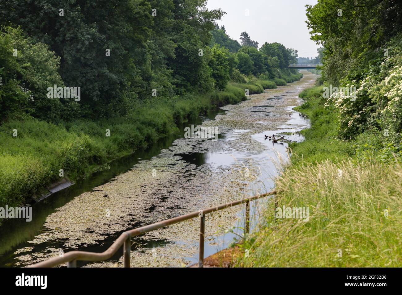 Renaturalized Emscher river in Dortmund, Germany Stock Photo - Alamy