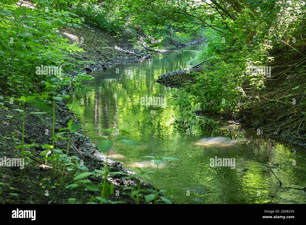 Renaturalized Emscher river in Dortmund, Germany Stock Photo - Alamy