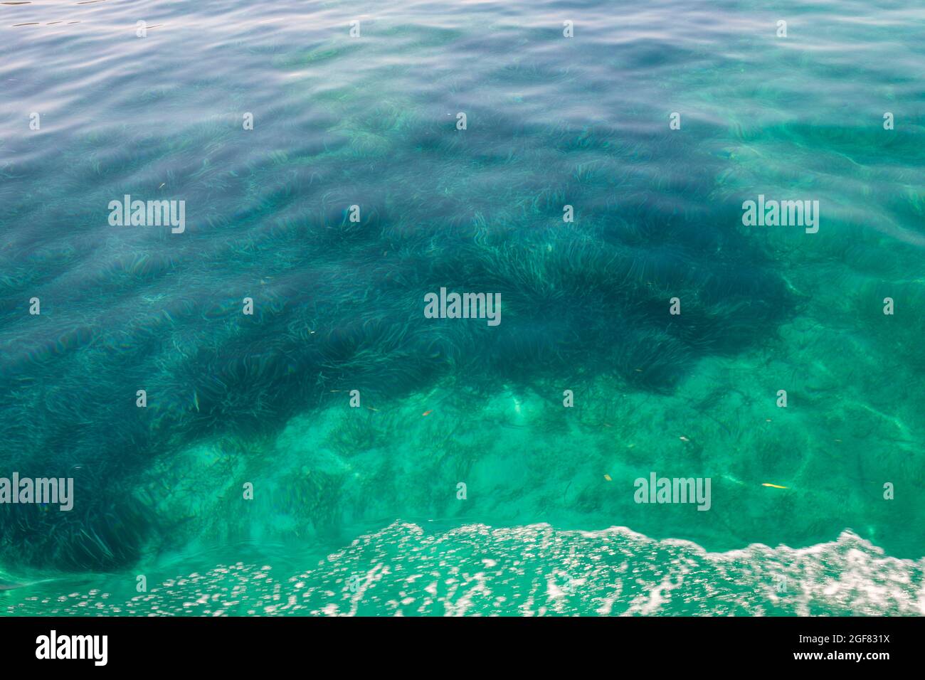 transparent sea on a boat trip in Egina Greece Stock Photo - Alamy