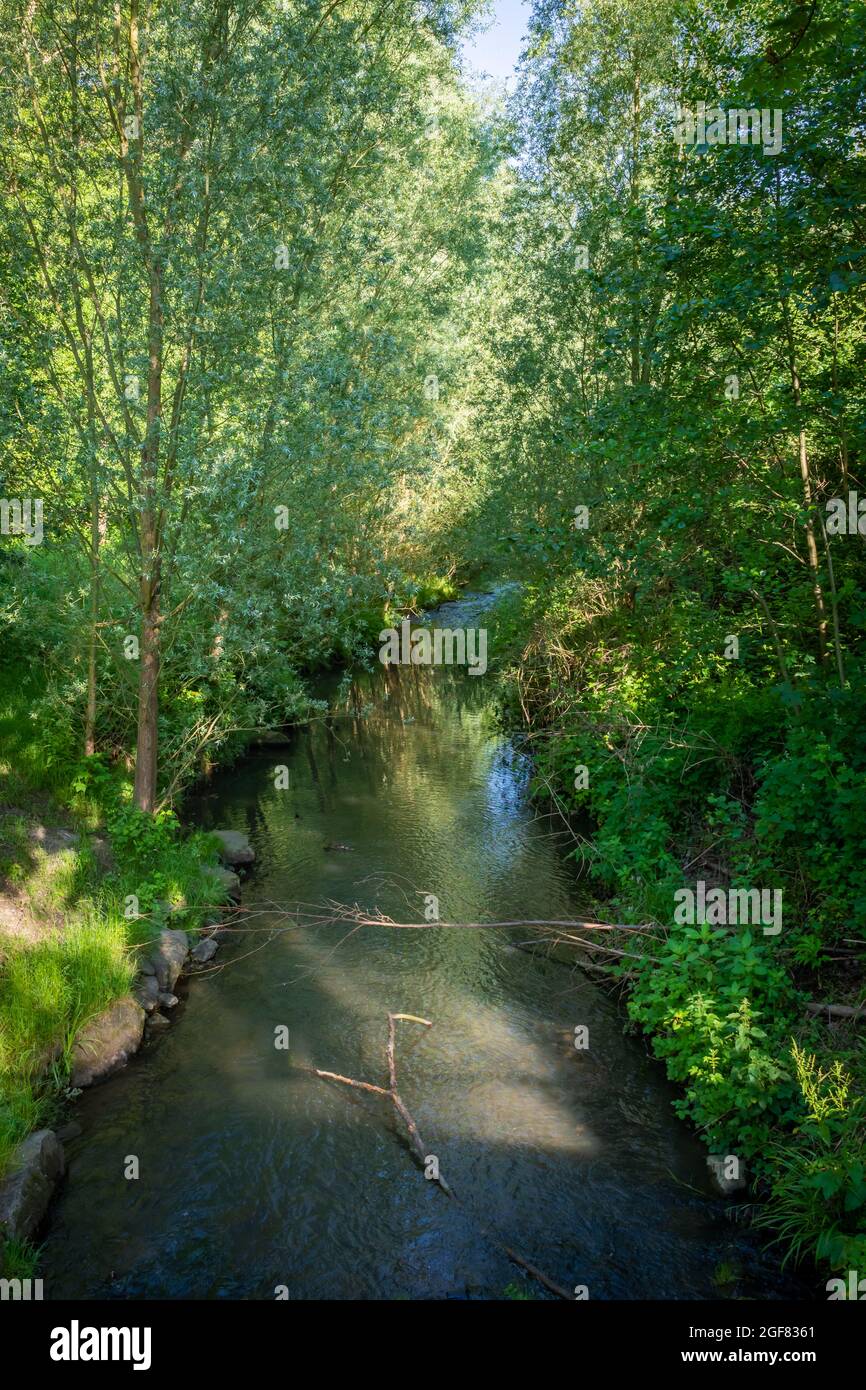 Renaturalized Emscher river in Dortmund, Germany Stock Photo - Alamy
