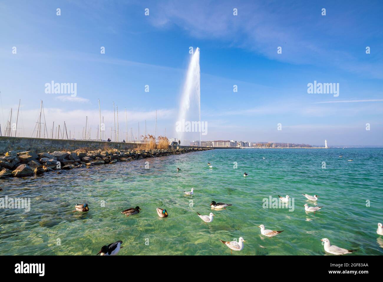Beautiful view of the water jet fountain in the lake of Geneva ...