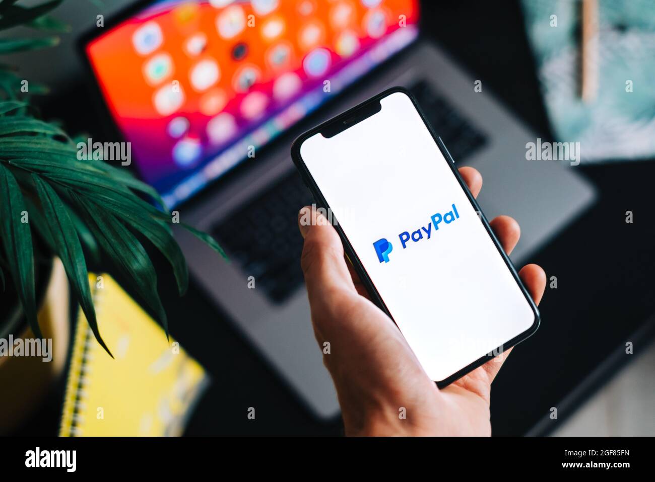 PayPal logo on smartphone screen Stock Photo - Alamy