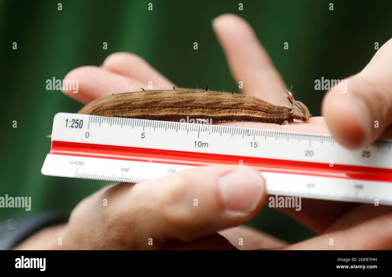 Zoo Weigh In 2021 High Resolution Stock Photography and Images - Alamy