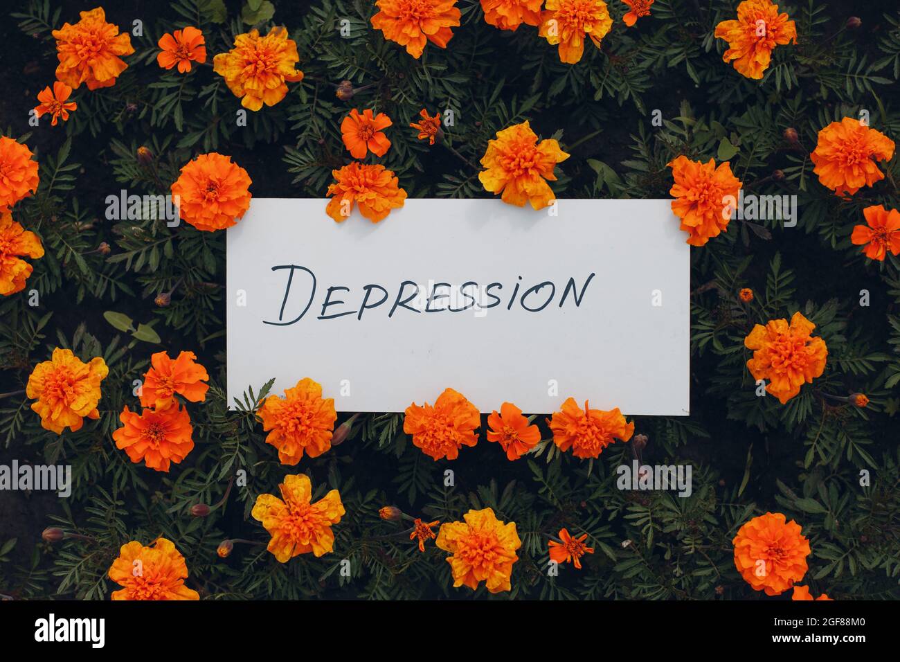The word depression hi-res stock photography and images - Alamy