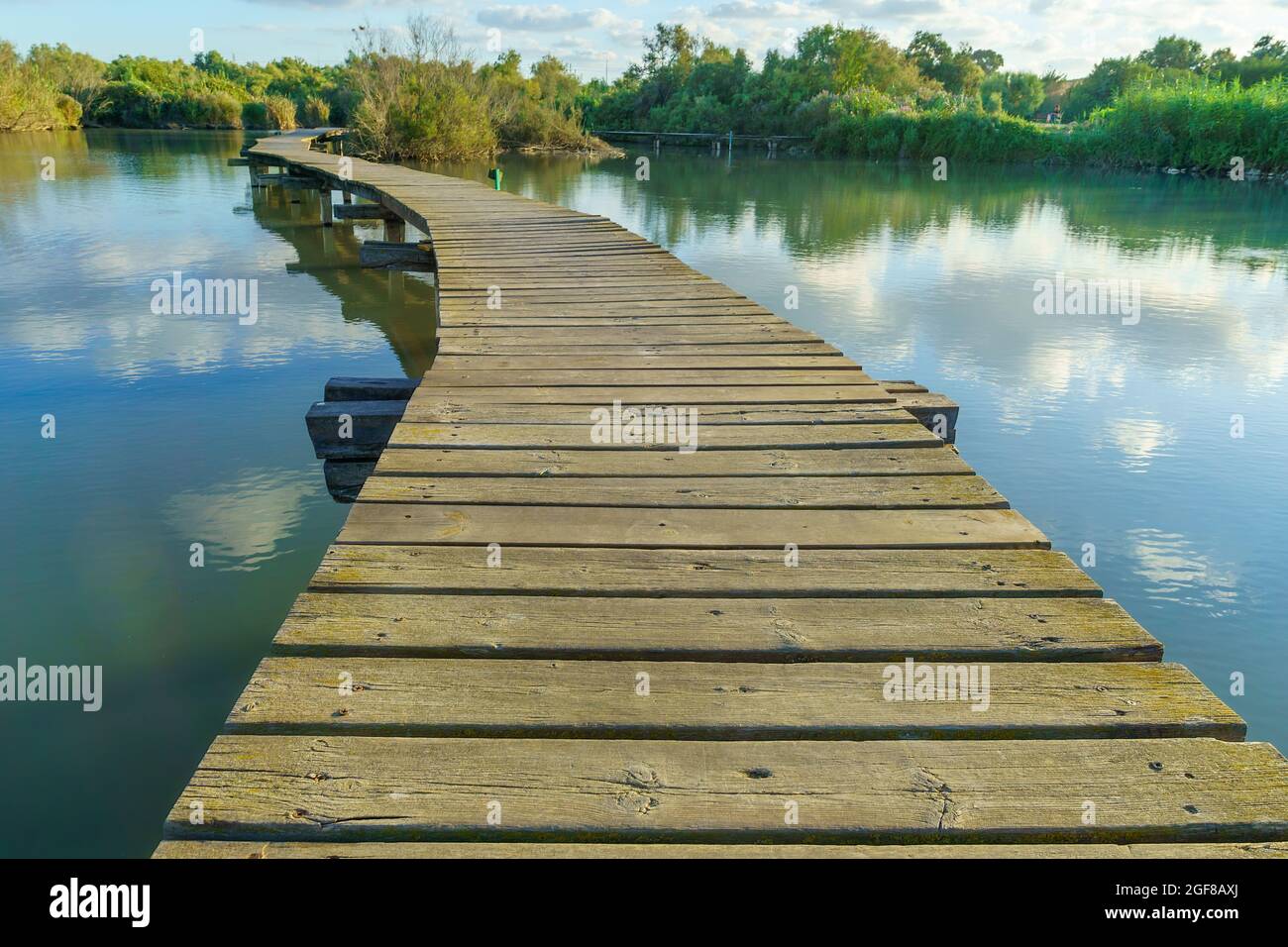 View of an elevated pathway over a pond, in the wetland nature reserve ...