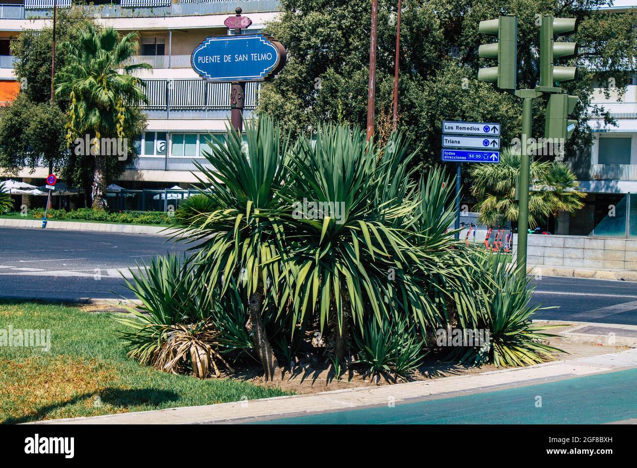 Seville Spain August 21, 2021 Nature in bloom in the streets of Seville ...