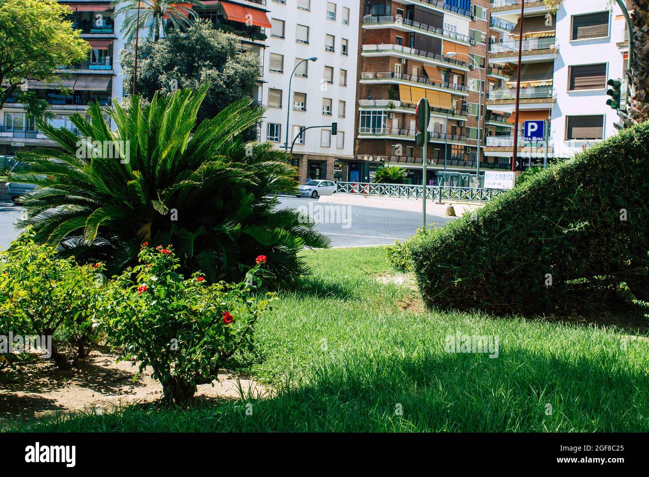 Seville Spain August 21, 2021 Nature in bloom in the streets of Seville ...