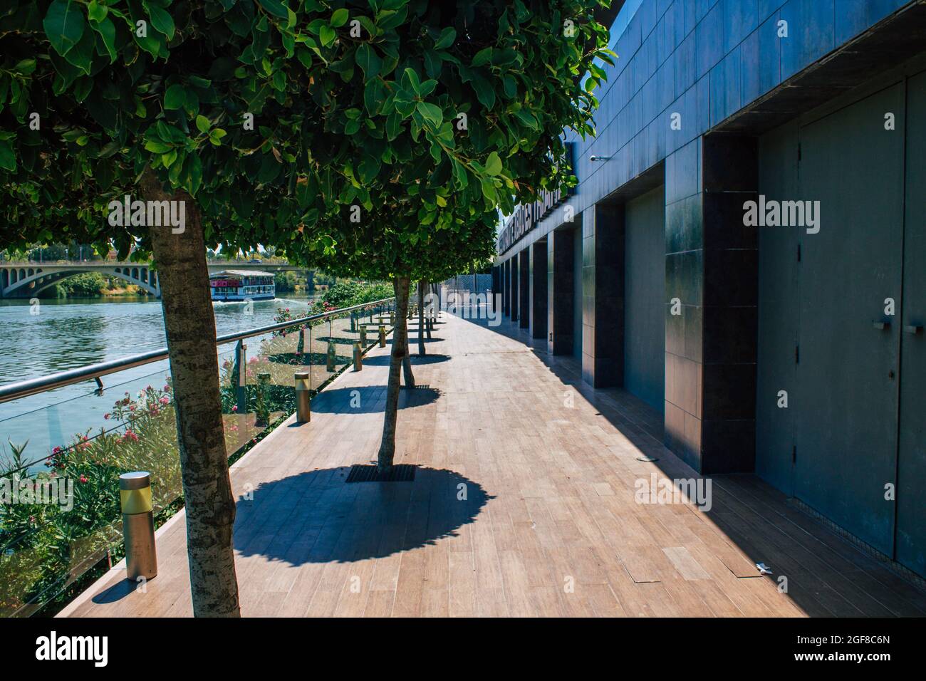 Seville Spain August 21, 2021 Nature in bloom in the streets of Seville ...