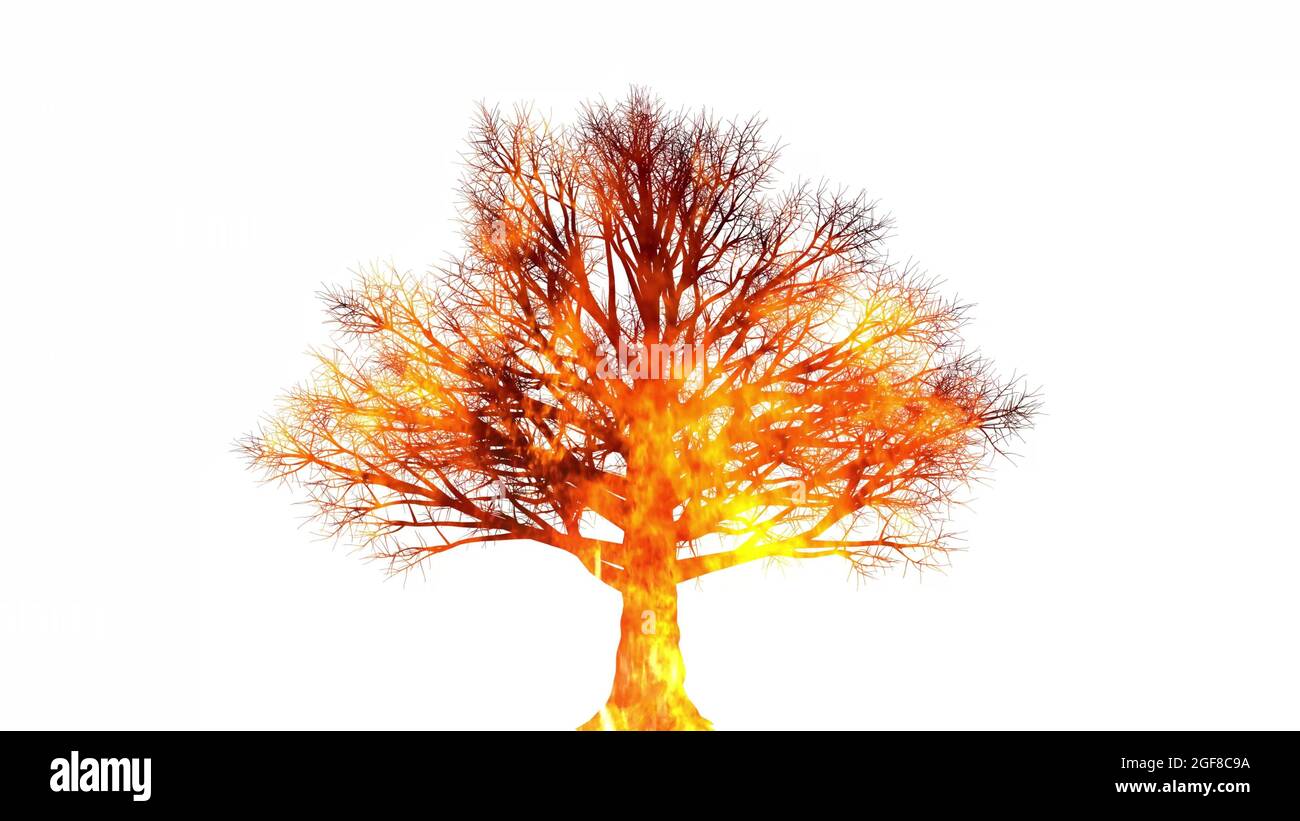 Tree on fire illustration hi-res stock photography and images - Alamy