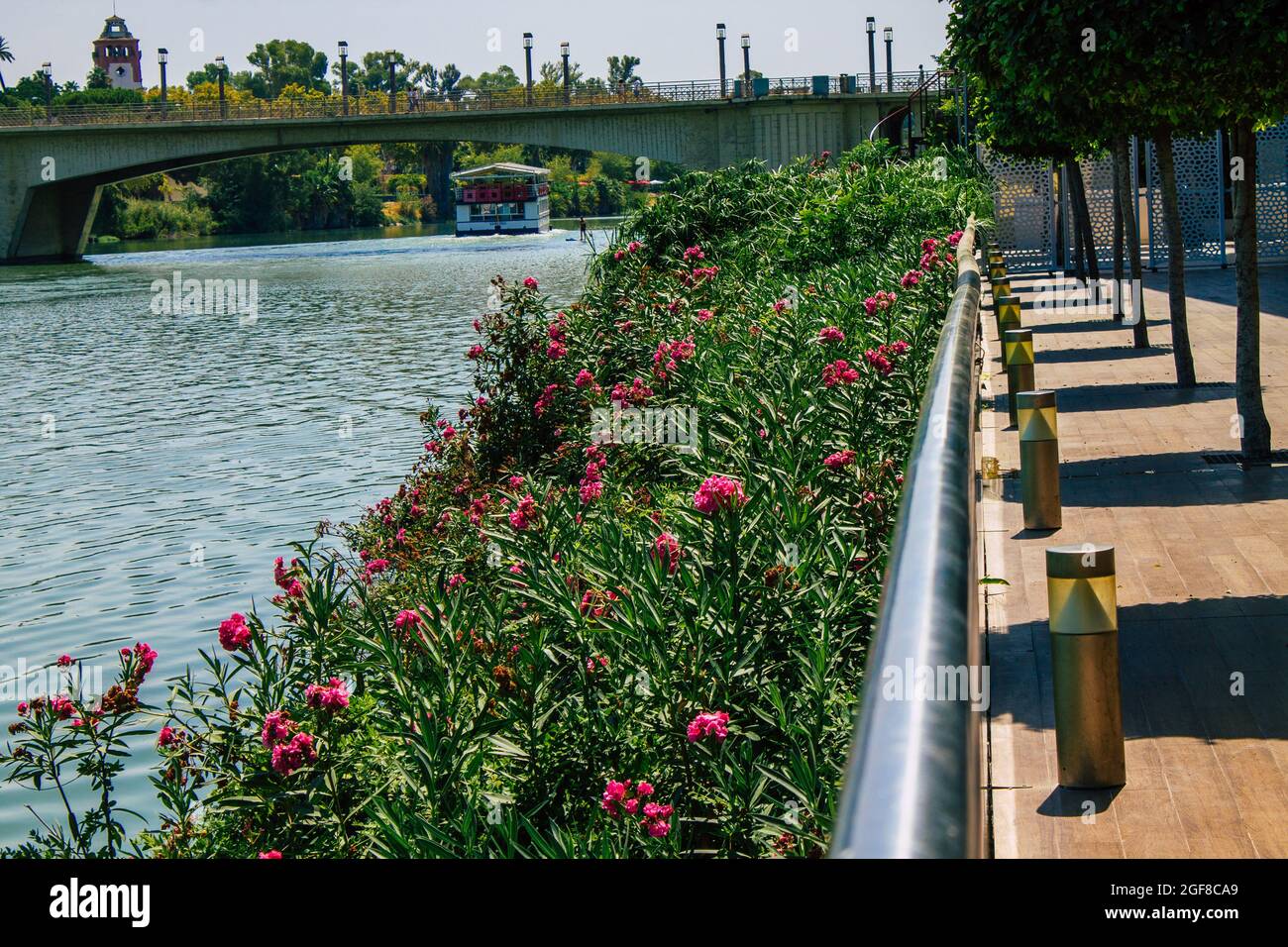Seville Spain August 21, 2021 Nature in bloom in the streets of Seville ...