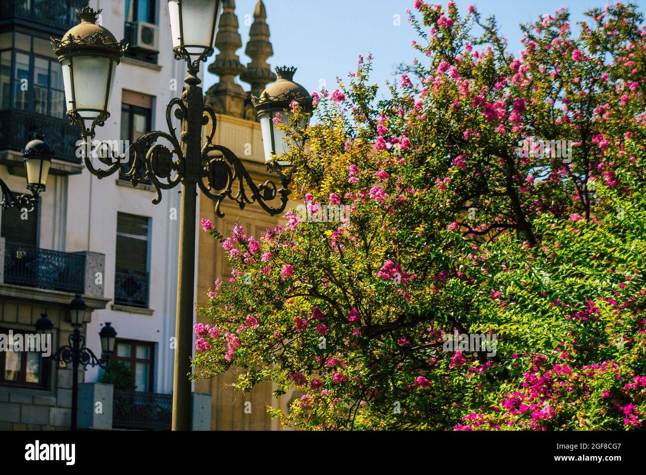 Seville Spain August 21, 2021 Nature in bloom in the streets of Seville ...