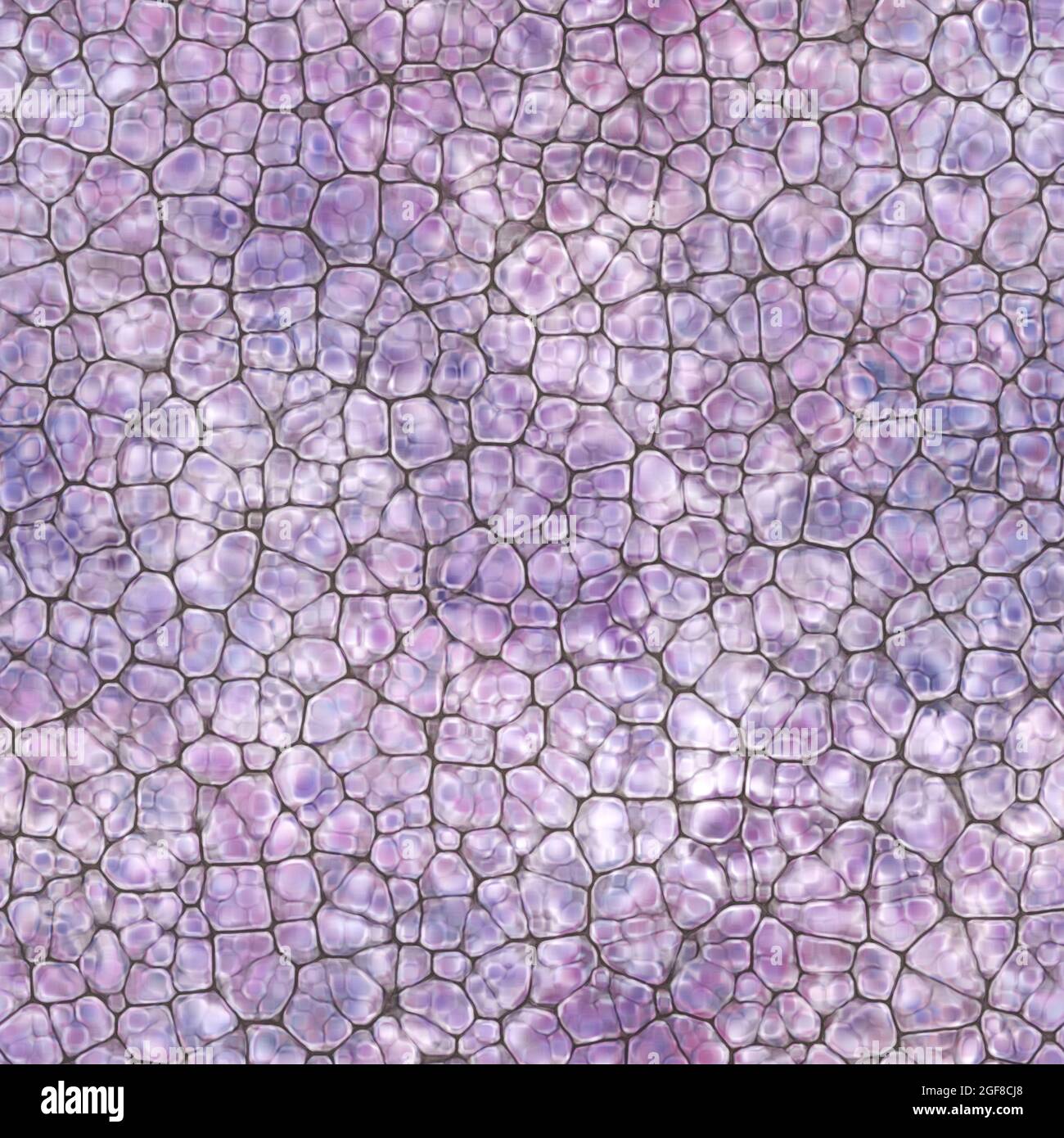 Cartoon seamless texture of color fantasy cobble stone ground pavement ...