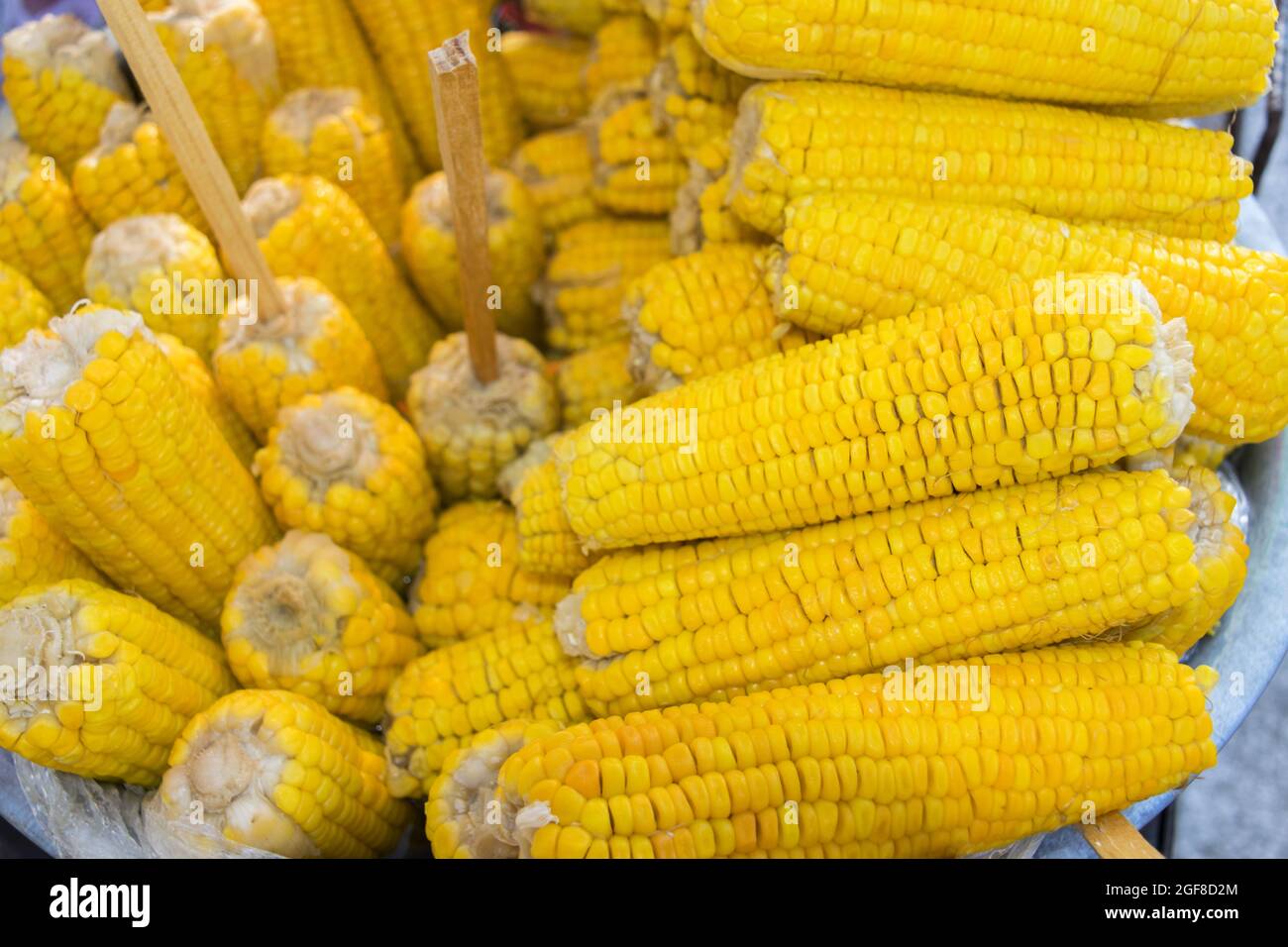 Baked corn called elotes in Guatemala. Zea mays Stock Photo - Alamy